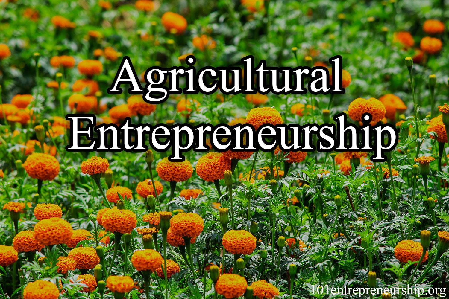 Agricultural Entrepreneurship- Complete Guide About Agripreneur