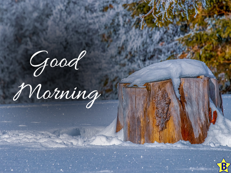 41+ Good Morning Winter Nature Images